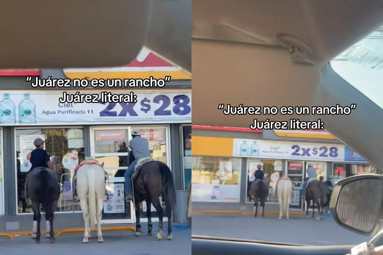 Captan caballos 'estacionados' en Oxxo de Juárez; piden multa por ...